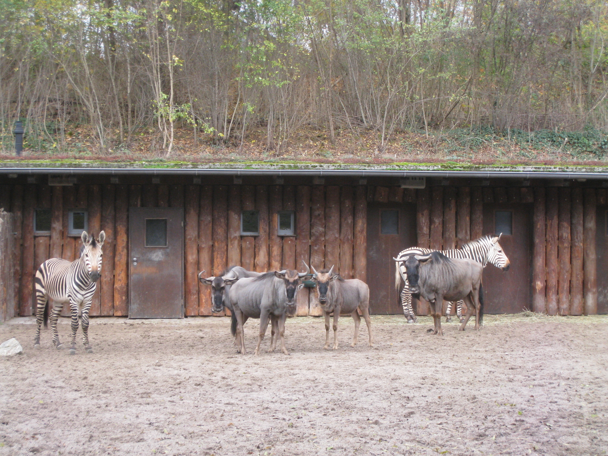 Reisen für Alle - Zoo Landau in der Pfalz