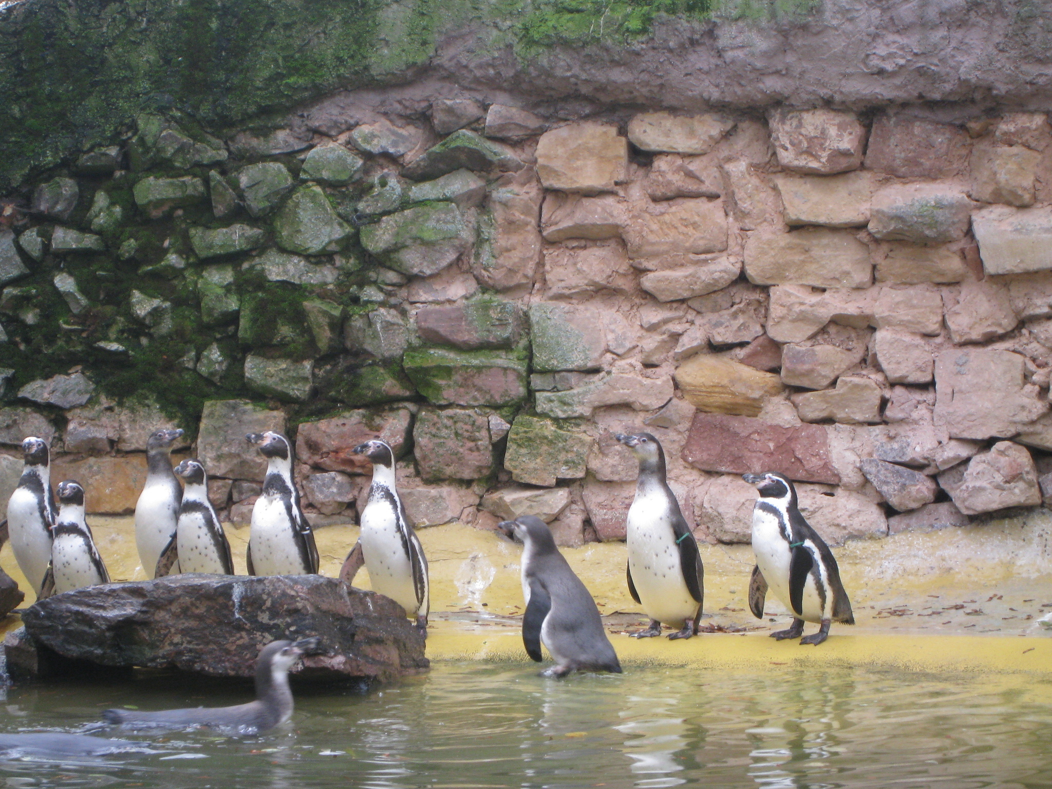 Reisen für Alle - Zoo Landau in der Pfalz